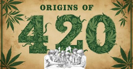 420 Meaning: The Origins, Interpretations, and Celebrations of The ...